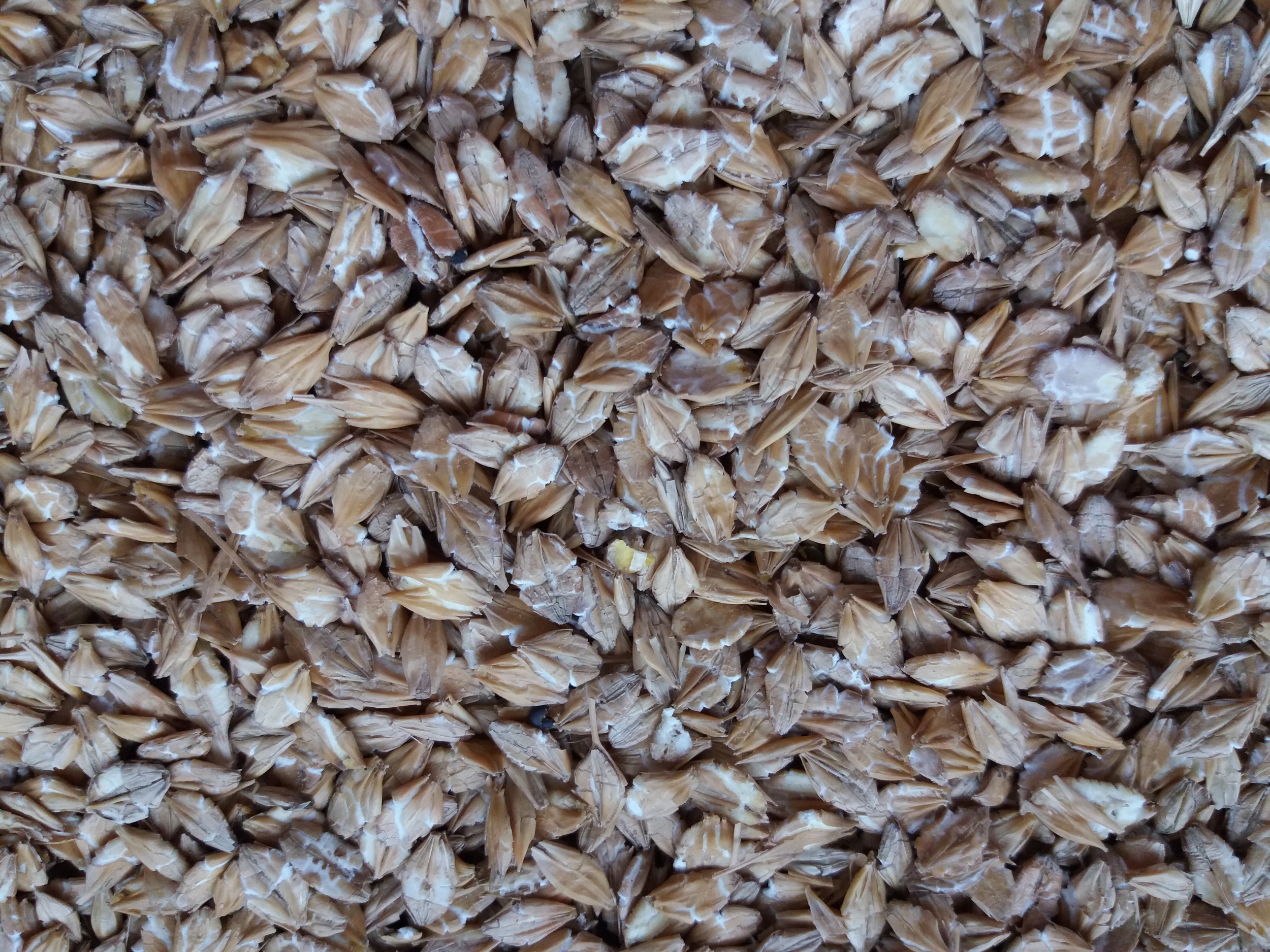 HYDROTHERMIC FLAKES MADE FROM BASIC GRAIN CROPS | ADW
