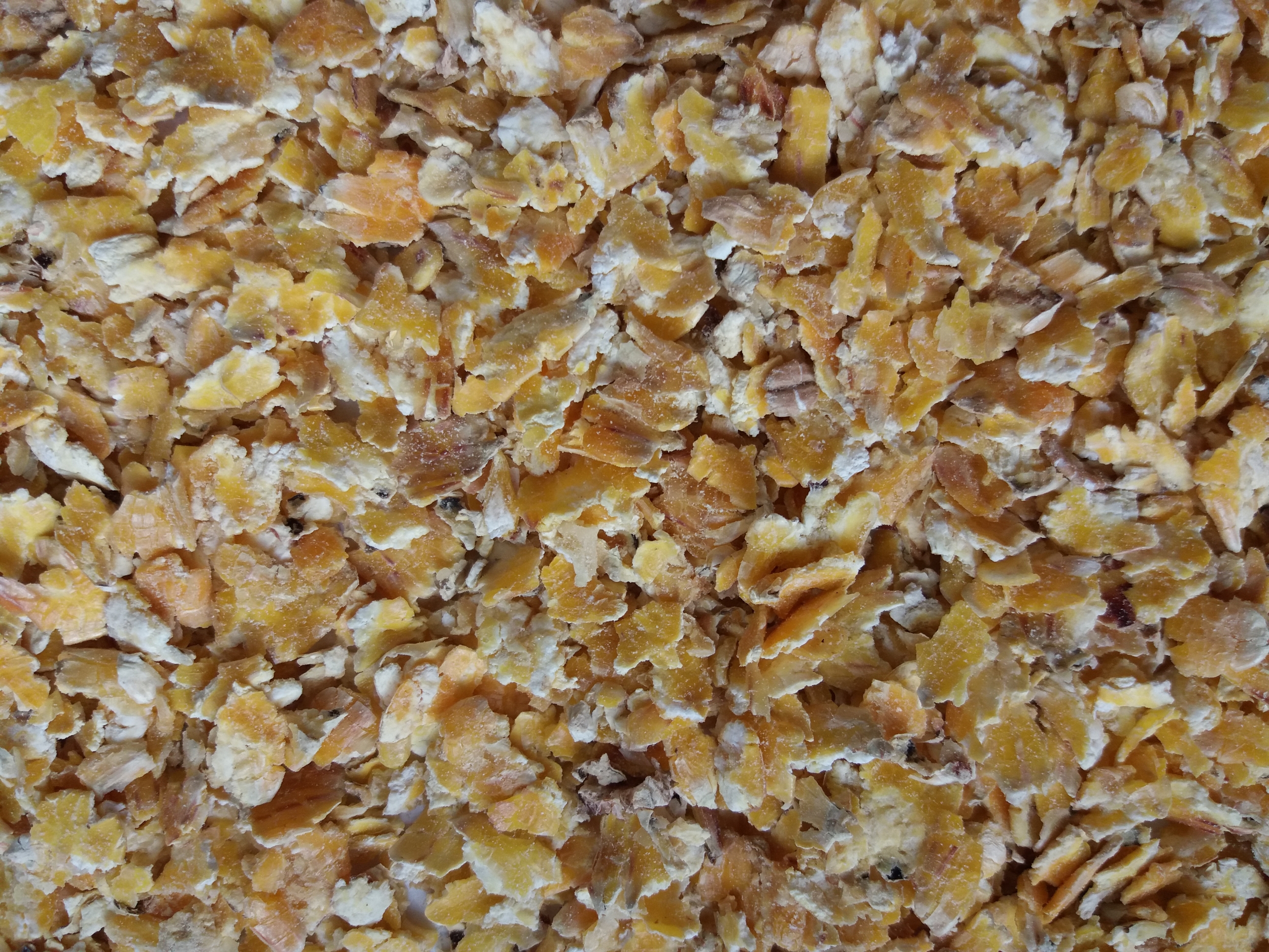 HYDROTHERMIC FLAKES MADE FROM BASIC GRAIN CROPS | ADW